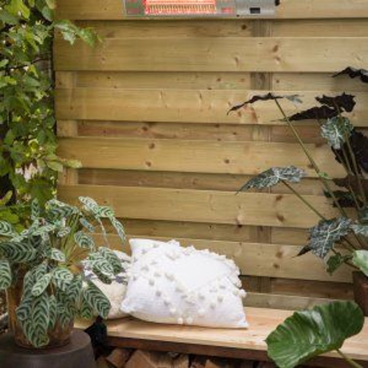 Royal Diamond Silver Wall 2000